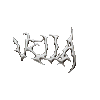 Vella- Clothing